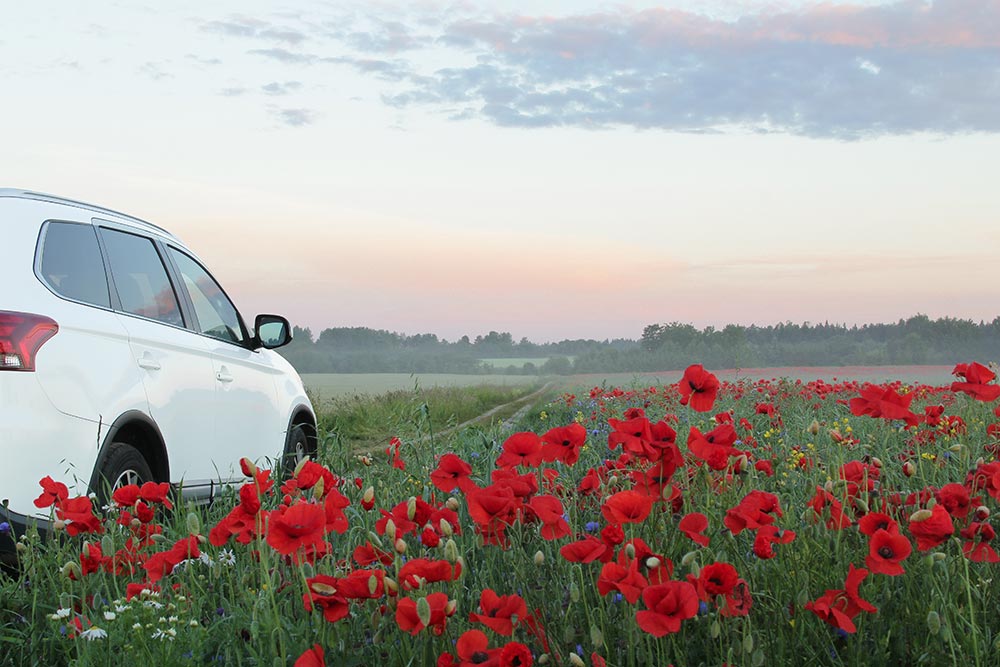 Spring Into Action: Why Spring is the Best Time for Car Maintenance ...